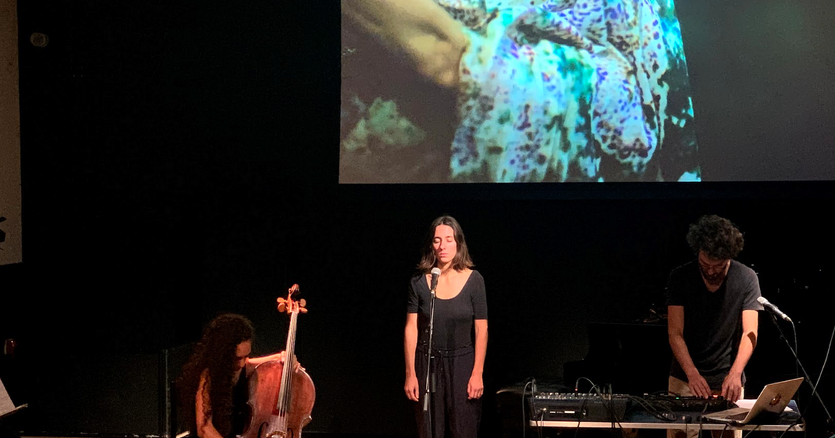 I Transgress Borders and Boundaries | Programme | sismografo.org